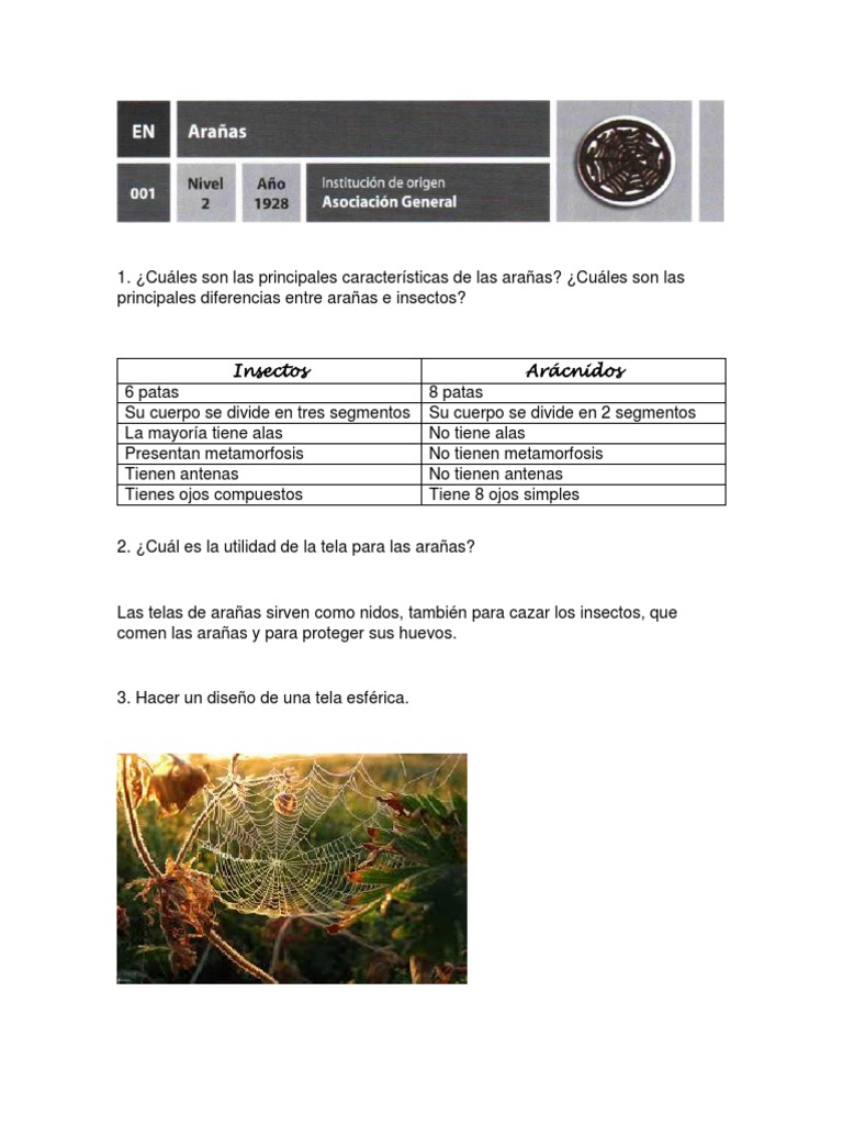 Arañas EN001 | PDF | Spider | Insects