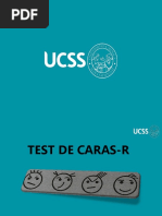 Test Caritas | PDF | Deportes y actividades al aire libre | Artes del ...