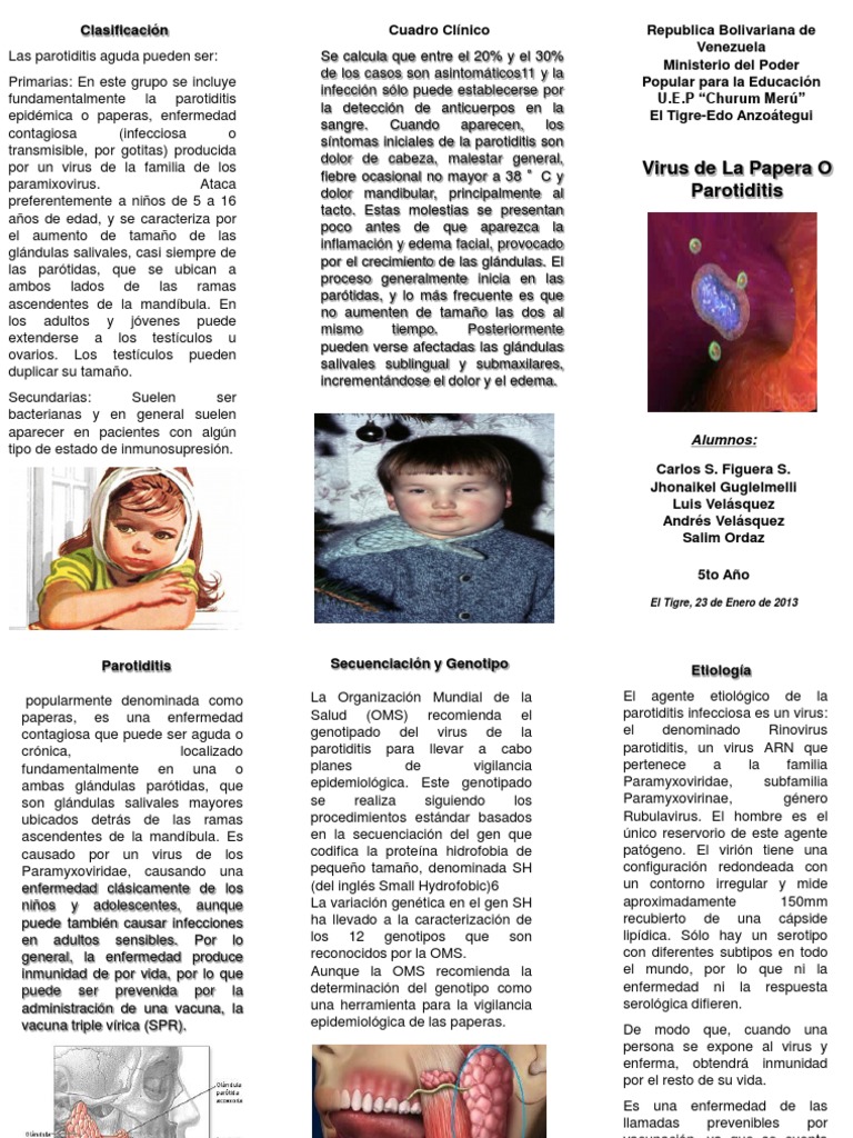 Virus de la Parotiditis: Causas y Síntomas | PDF | Virología animal ...