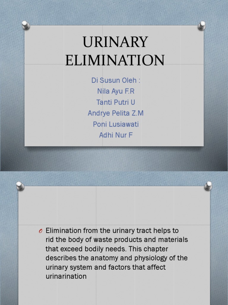 Urinary System: Anatomy & Nursing | PDF | Self-Improvement | Wellness