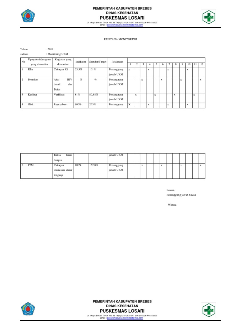 Format Monitoring | PDF
