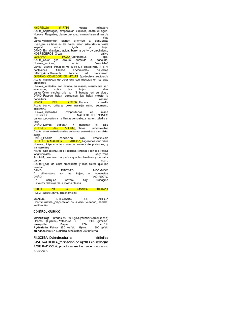 Hydrellia Wirthi Mosca Minadora | Descargar gratis PDF | Organismos ...