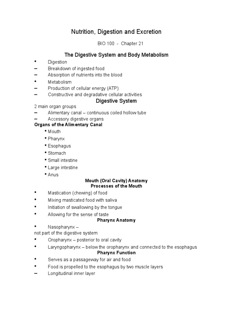 CH 21 Digestion Excretion | PDF | Stomach | Human Digestive System