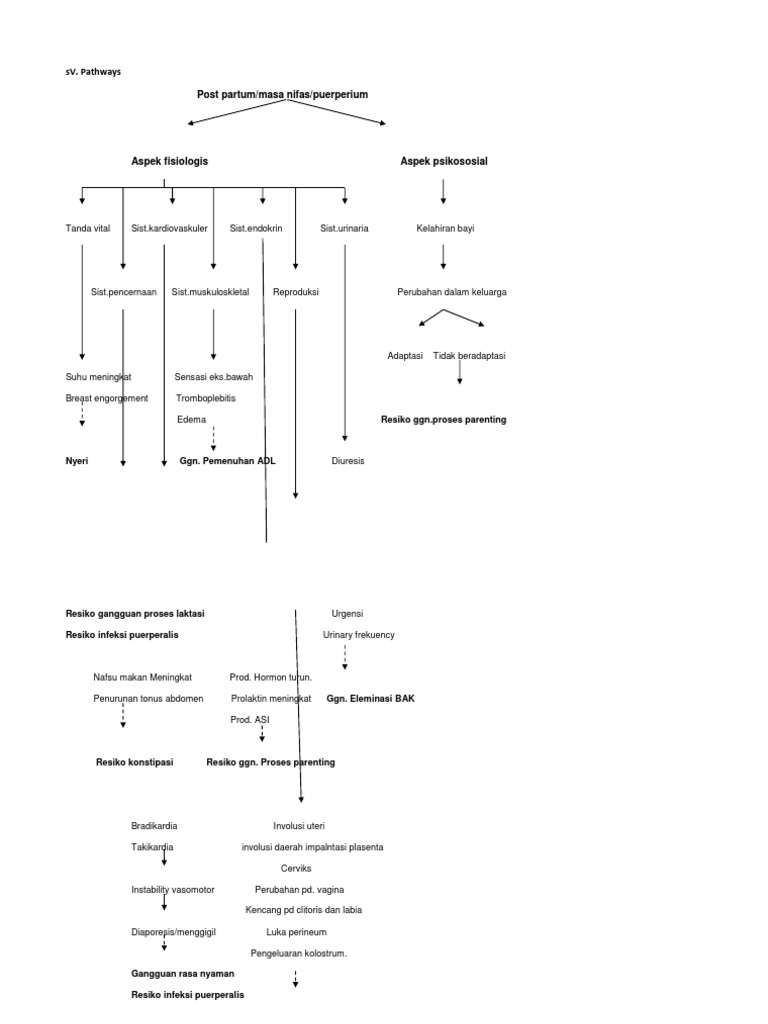 Sv. Pathways Post Partum/masa Nifas/puerperium | PDF