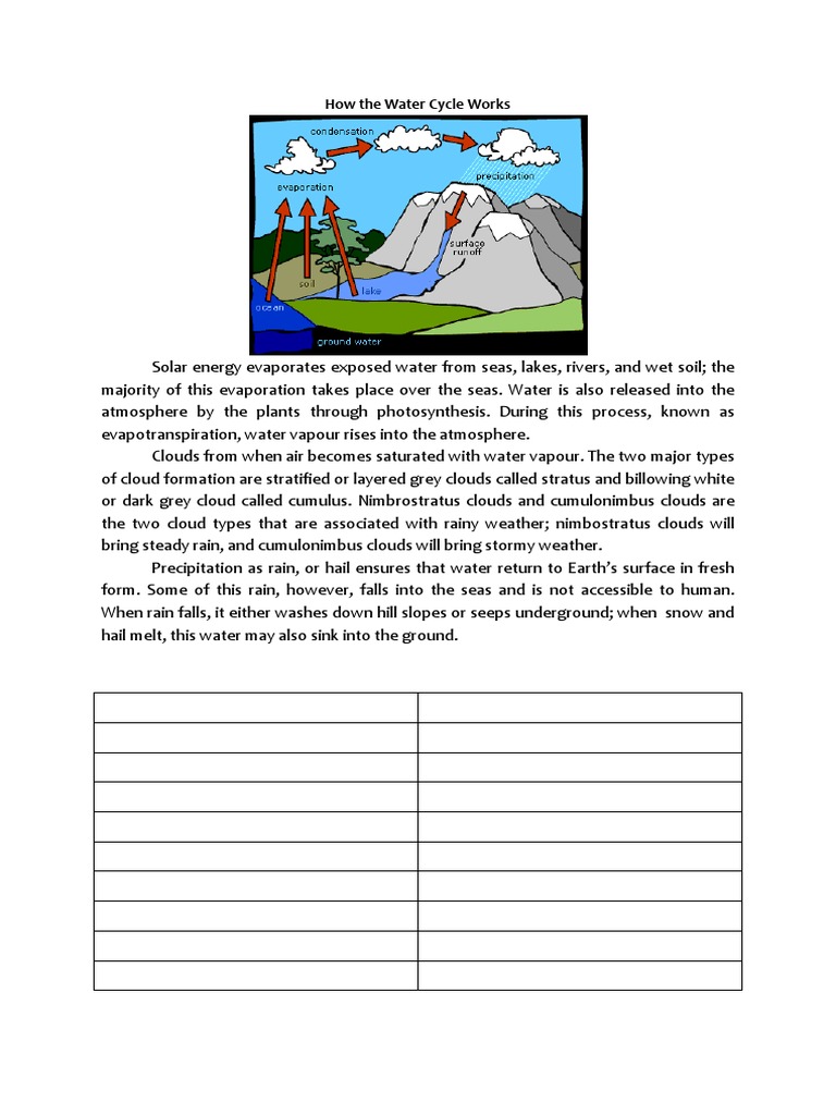 Explanation How The Water Cycle Works | Download Free PDF | Cloud | Rain