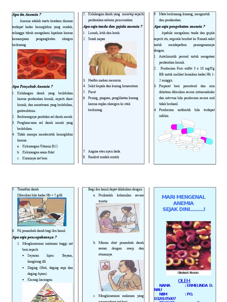 Leaflet Anemia | PDF