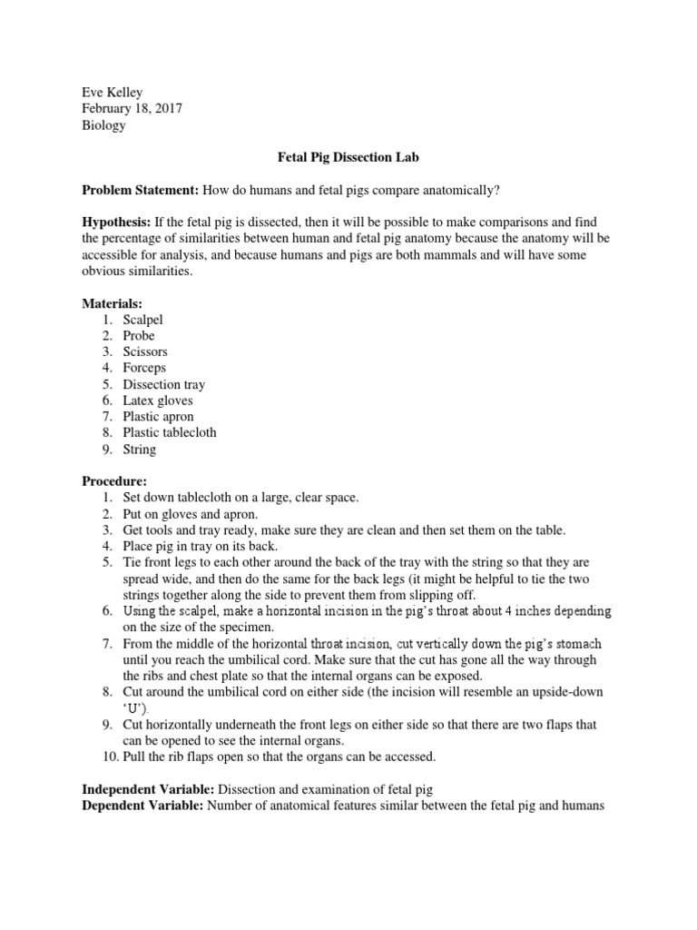 Pig Dissection Lab Report - Eve Kelley | PDF | Thorax | Anatomy