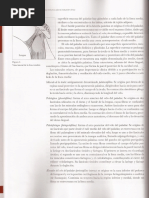 EAT-10 Despistaje de Disfagia | PDF | Enfermedades y trastornos ...