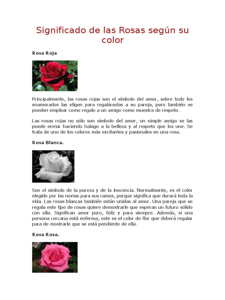 Significado de Las Rosas Según Su Color | PDF | Rosa | Color