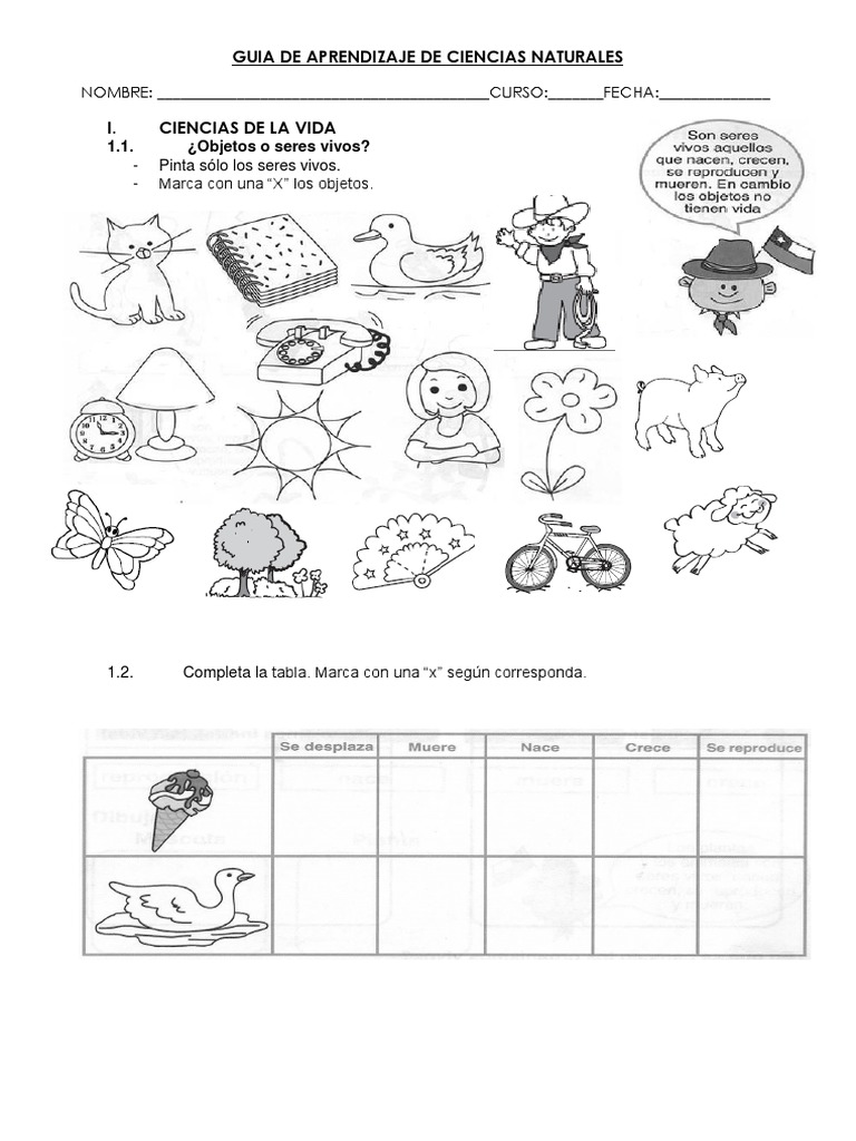 Guia de Aprendizaje Seres Vivos e Inertes