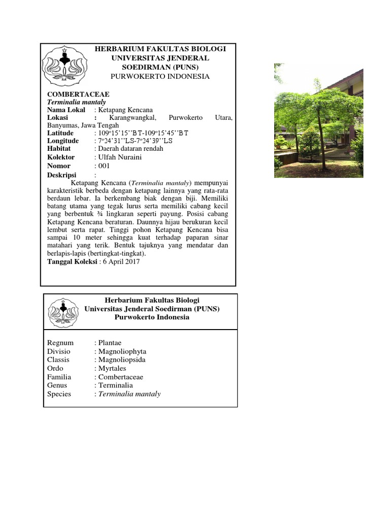 Herbarium | PDF | Griya & Taman | Kesehatan Holistik