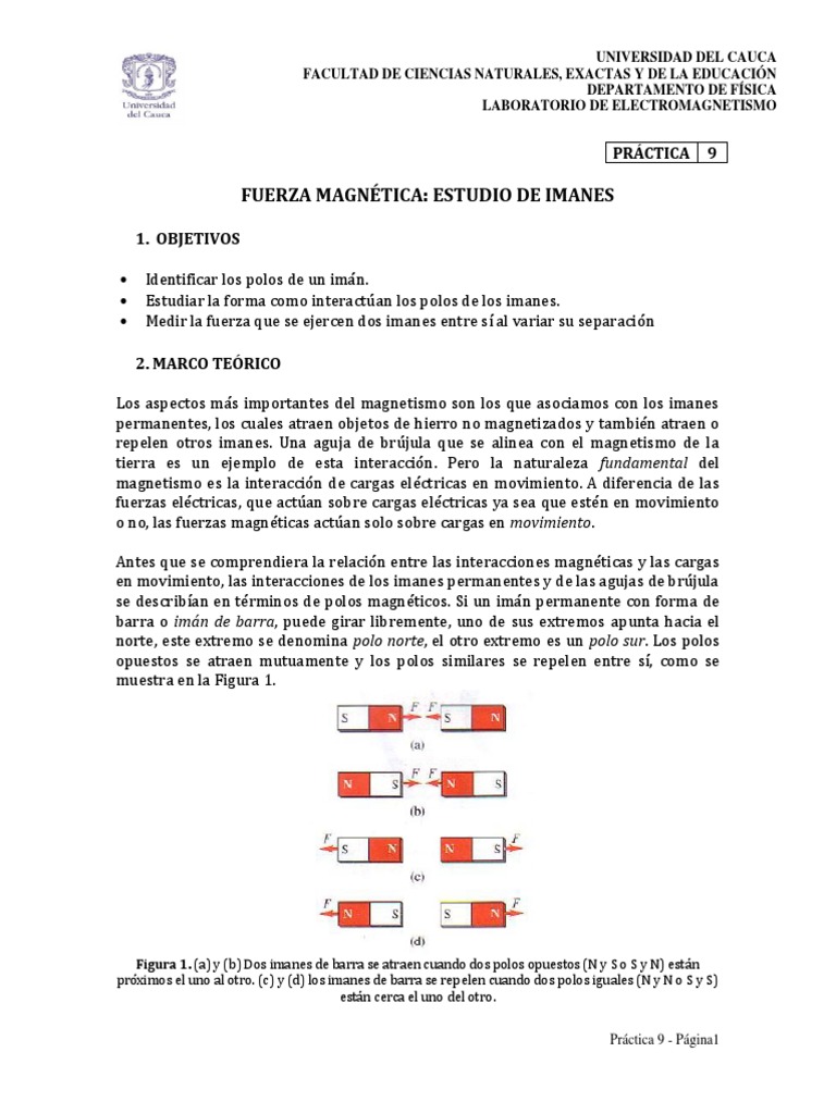 FE-PRÁCTICA 10. Estudio de Imanes | PDF | Imán | Magnetismo