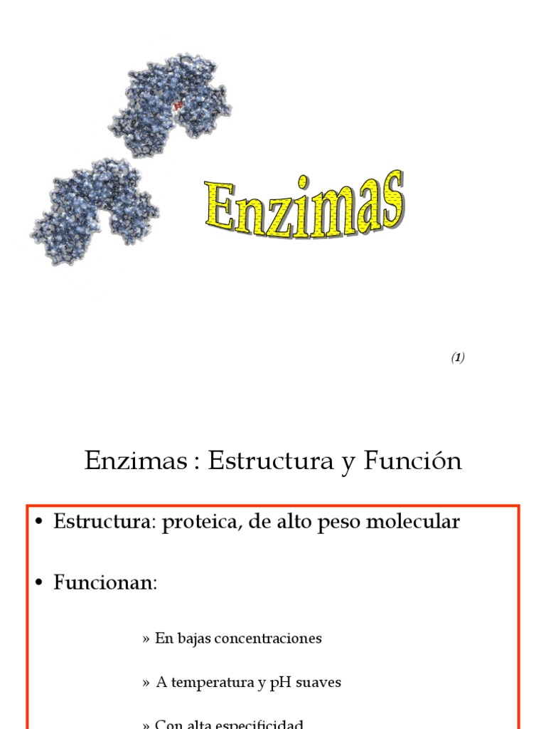 2 - Enzimas PDF | PDF