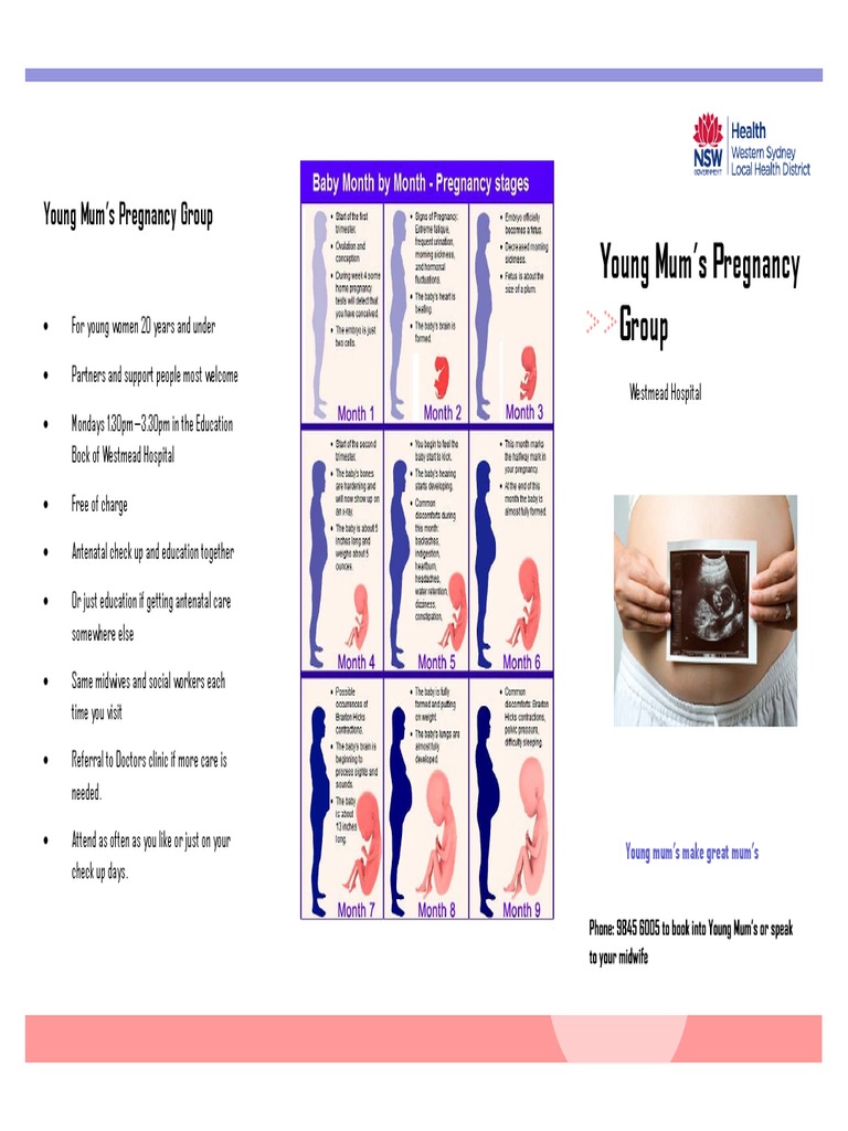 Brochure Young Mums | PDF | Midwife | Childbirth