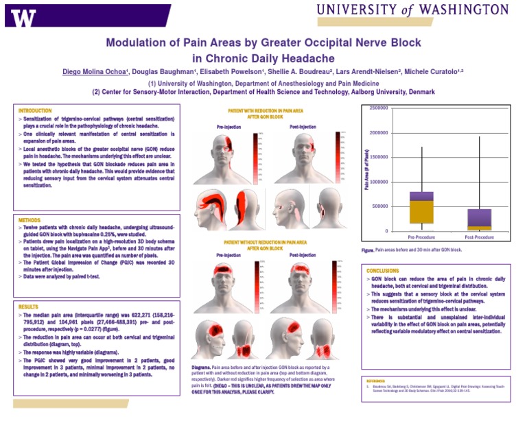 Headache Maps 2018 2 - Michele | PDF | Pain | Anesthesia