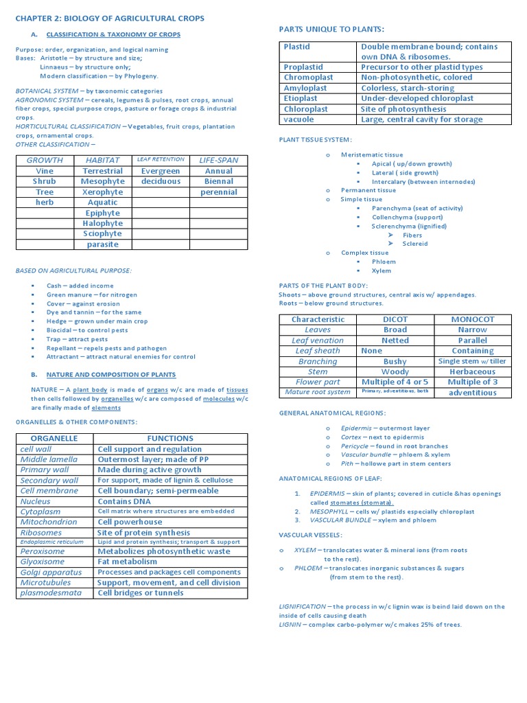 Crop Biology: Classification and Anatomy | PDF | Seed | Petal
