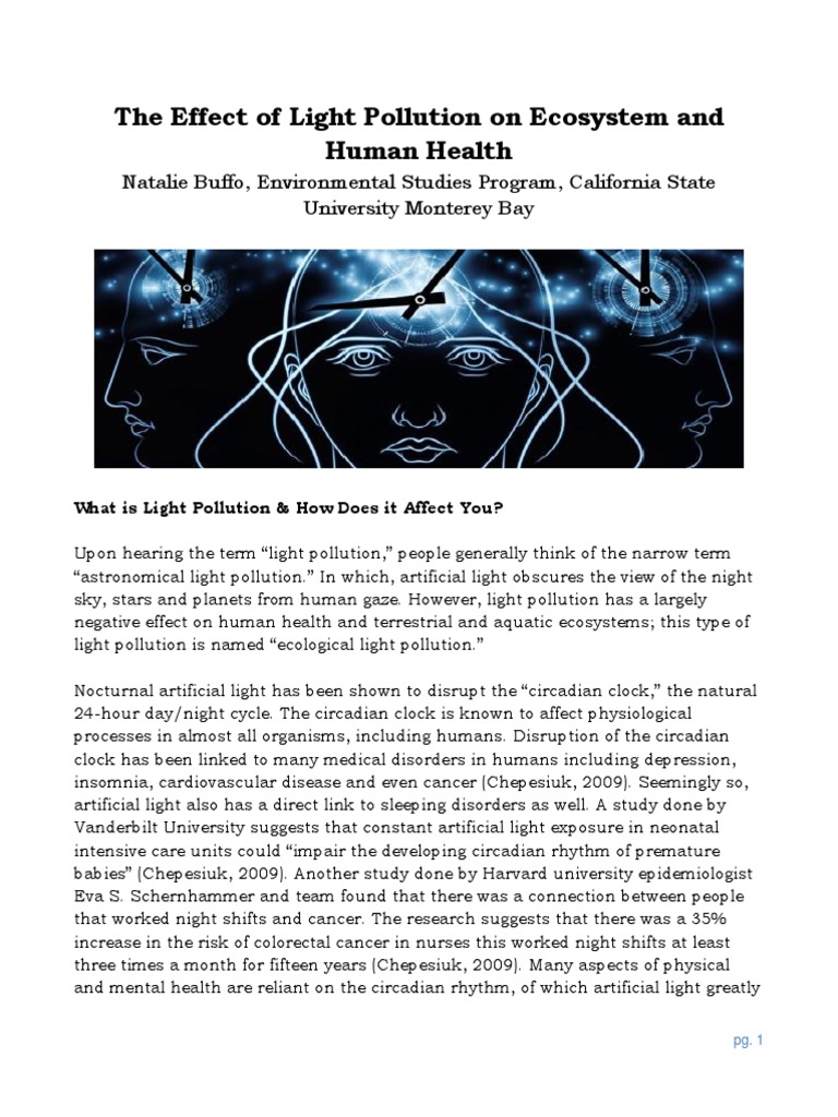 The Effect of Light Pollution On Ecosystem and Human Health 1 | PDF ...