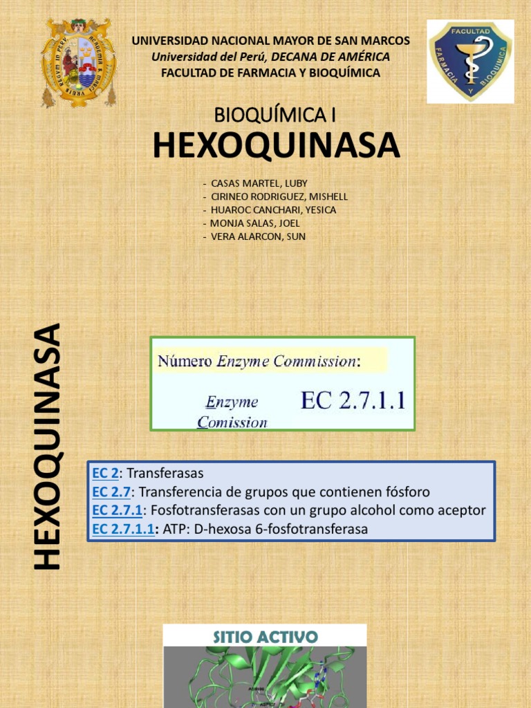 Isoenzimas de Hexoquinasa y Función | PDF | Enzima | Fosforilación