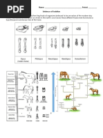 Evolution Station Cards BIOLOGY COMPLETE WORSHEET ASSIGNMENT ANSWERS ...