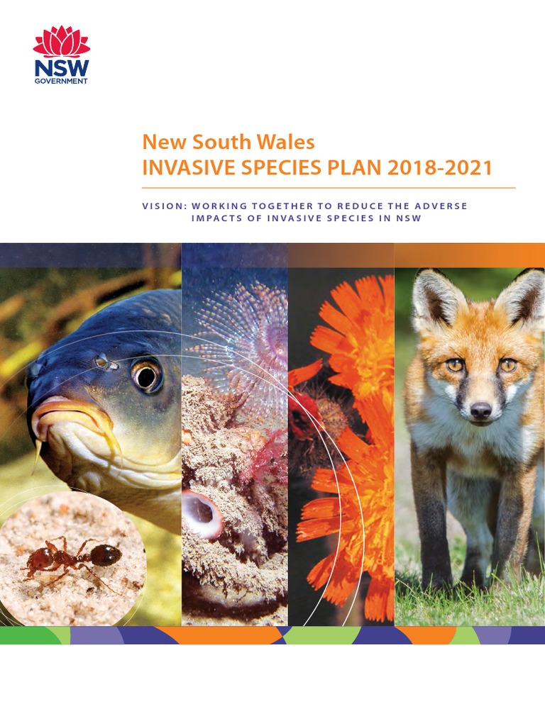 Invasive Species Plan 2018 | PDF | Invasive Species | Risk Management