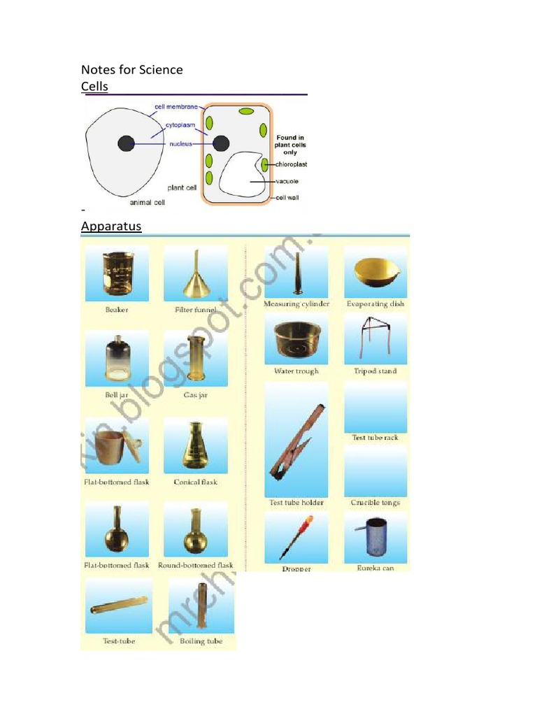 Notes For Science | PDF