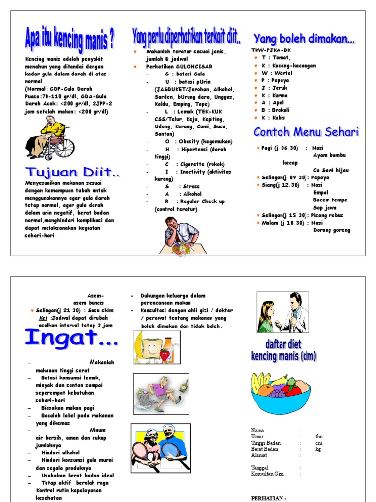 Leaflet Diit DM | PDF