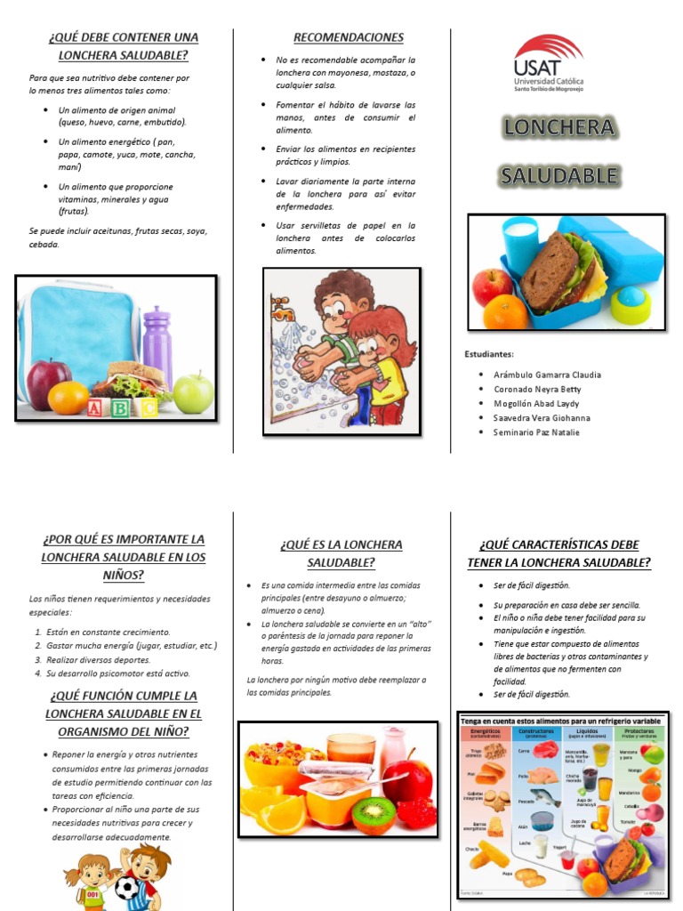 Triptico Lonchera Saludable | PDF | Alimentos | Nutrición