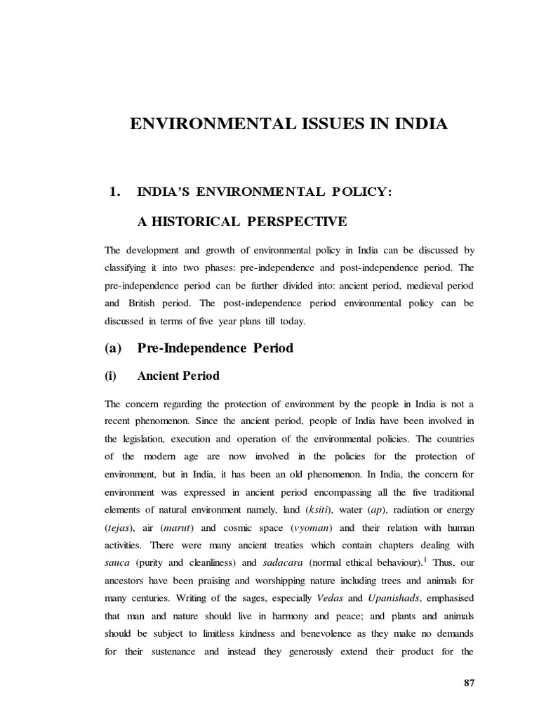 Environmental Issues in India | PDF | Environmentalism | Environmental ...