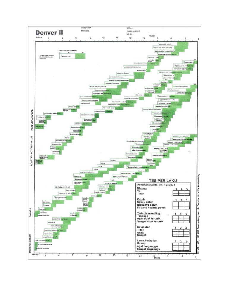 Format-Denver-II.docx