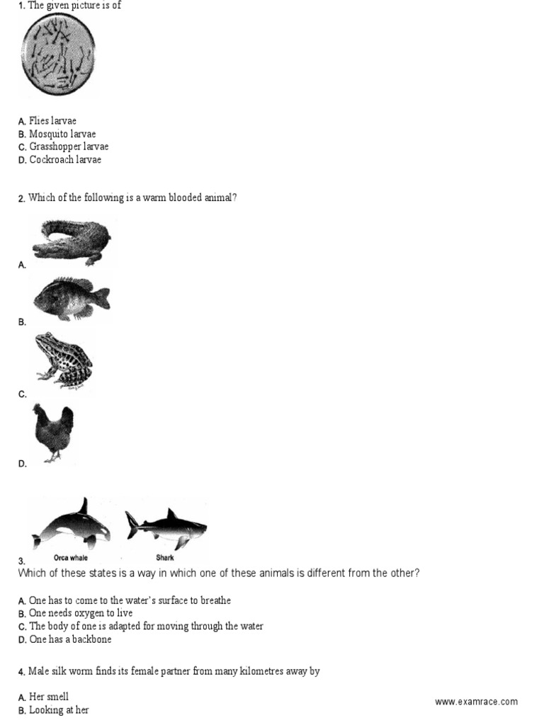 NSO Sample Paper Class 5 | PDF | Earth | Water