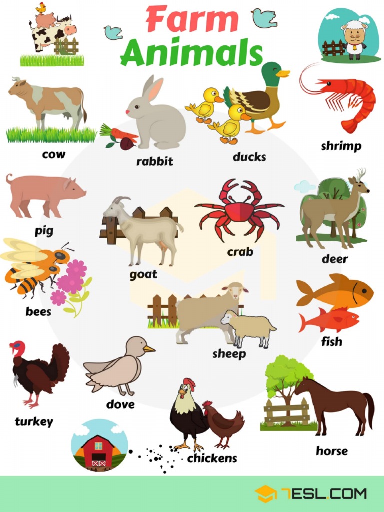 Farm Animals Vocabulary | PDF