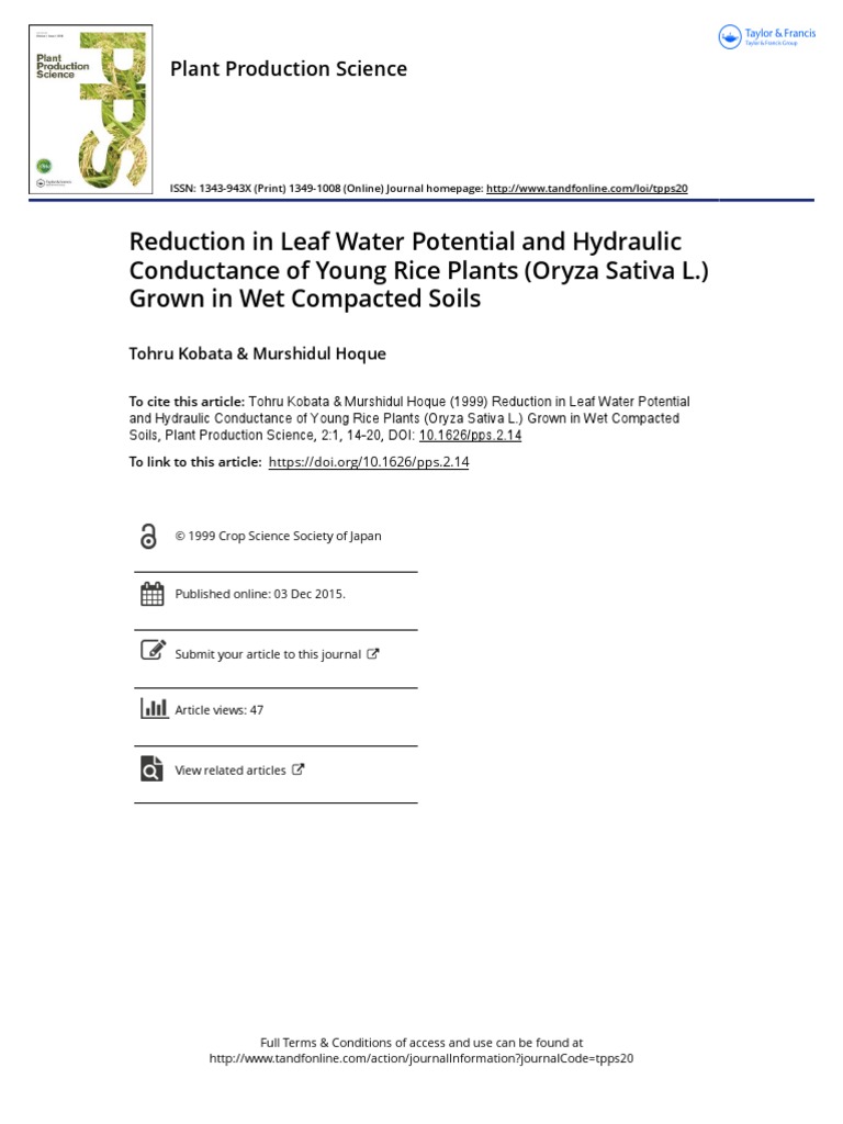Reduction in Leaf Water Potential and Hydraulic Conductance of Young ...