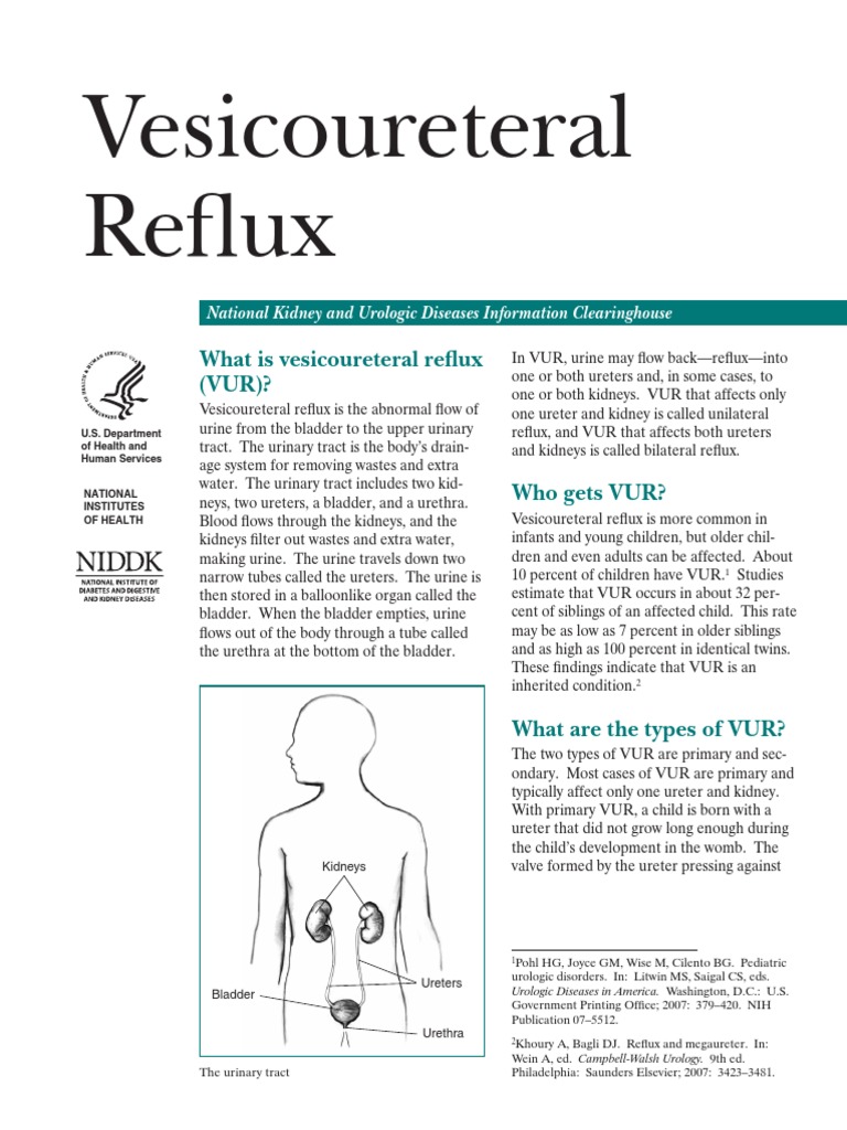 Vesicoureteral Reflux 508 | PDF | Urinary Tract Infection | Genitourinary System