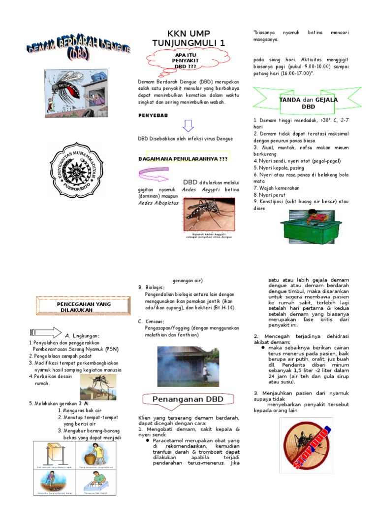 Leaflet DBD | PDF