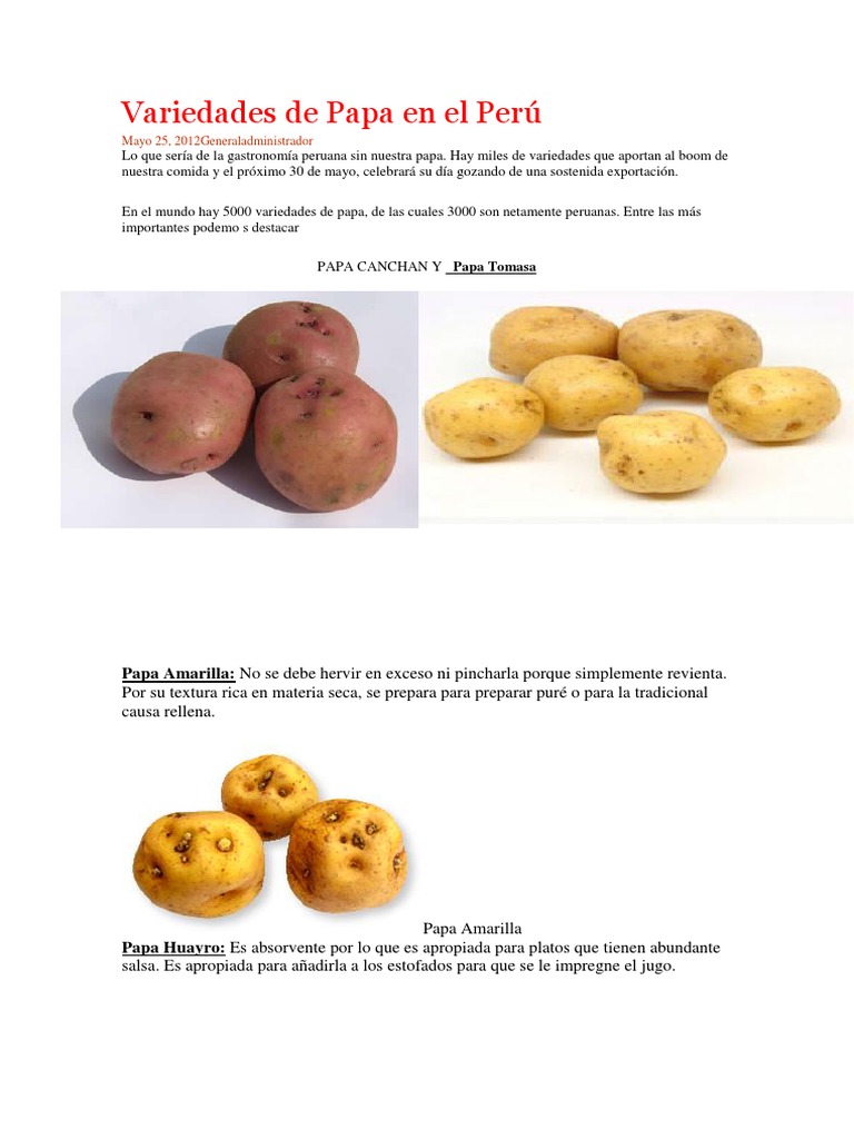 Variedades de Papa en El Perú | Patata | Cocina europea