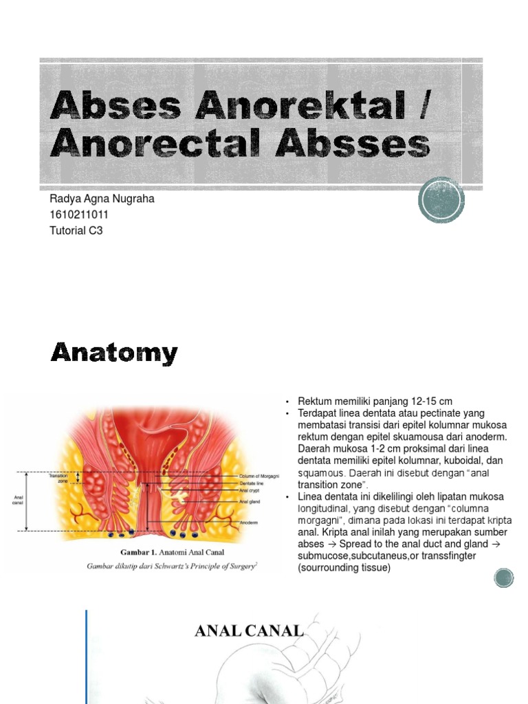 Anorectal Abscess Treatment | PDF | Medical Specialties | Medicine