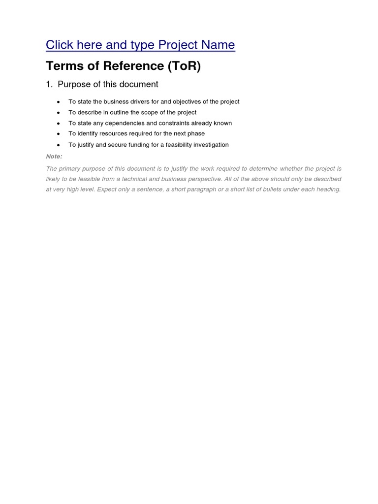 AgilePM Template - Terms of Reference (ToR) | PDF | Feasibility Study ...