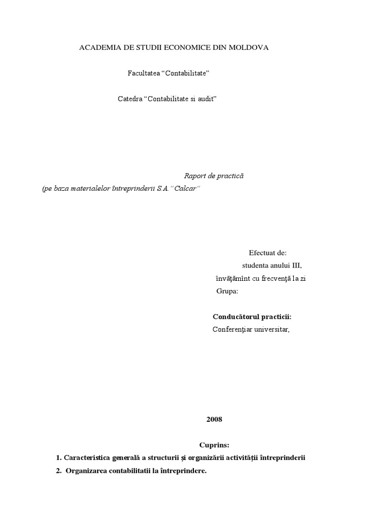 Exemplu Practica de Licenta | PDF