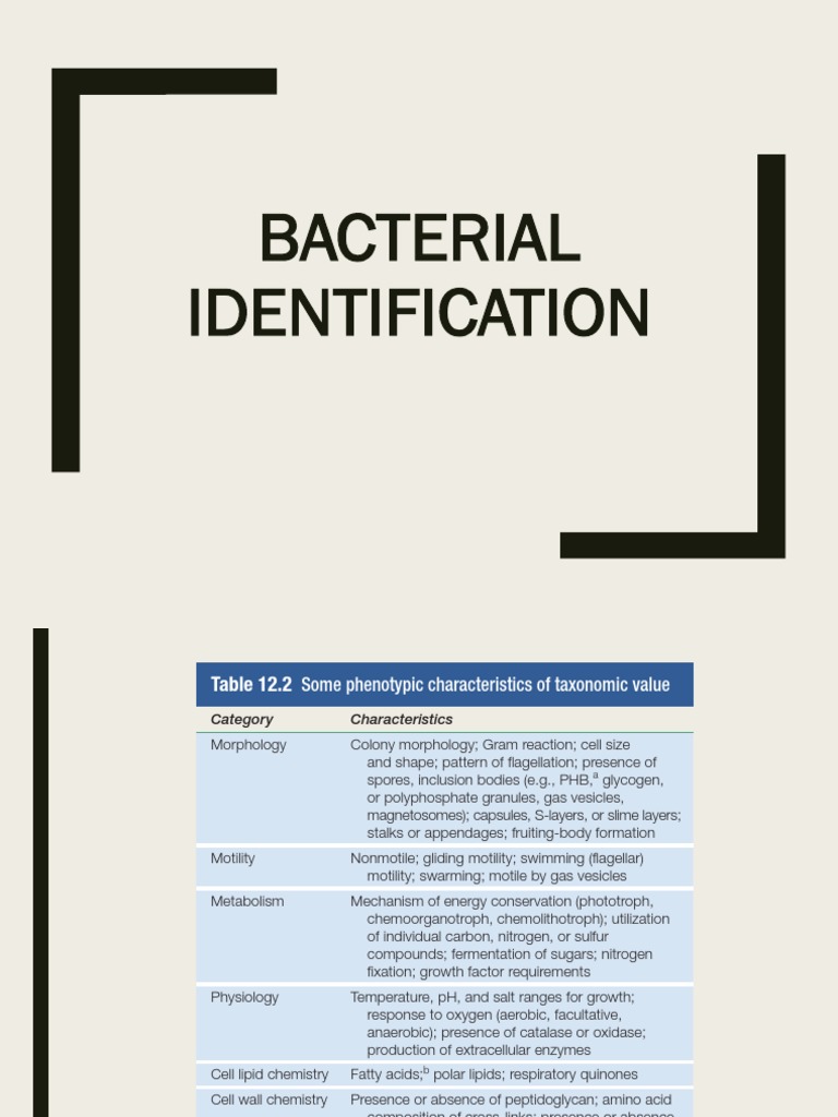Bacterial Identification Pdf Bacteria Metabolism