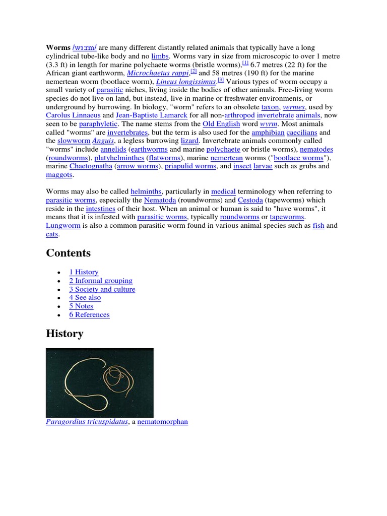Microchaetus Rappi Lineus Longissimus: Worms | PDF | Animal Taxa ...