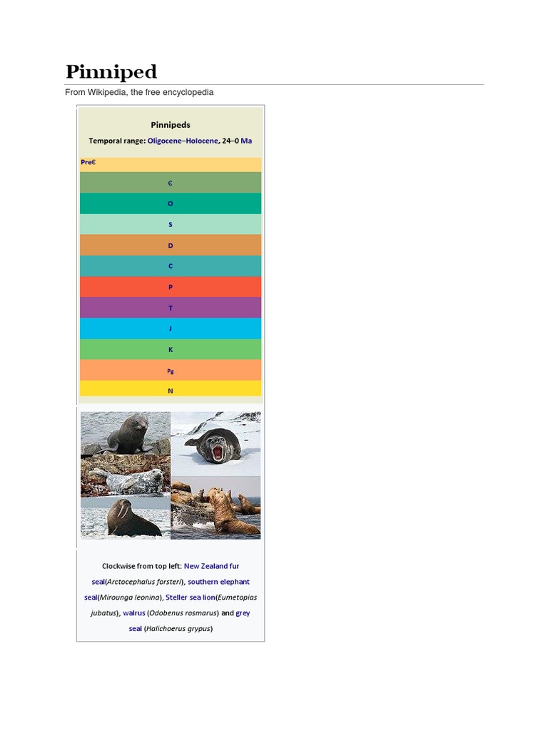 Pinniped: Pinnipeds | PDF | Pinniped | Marine Mammals