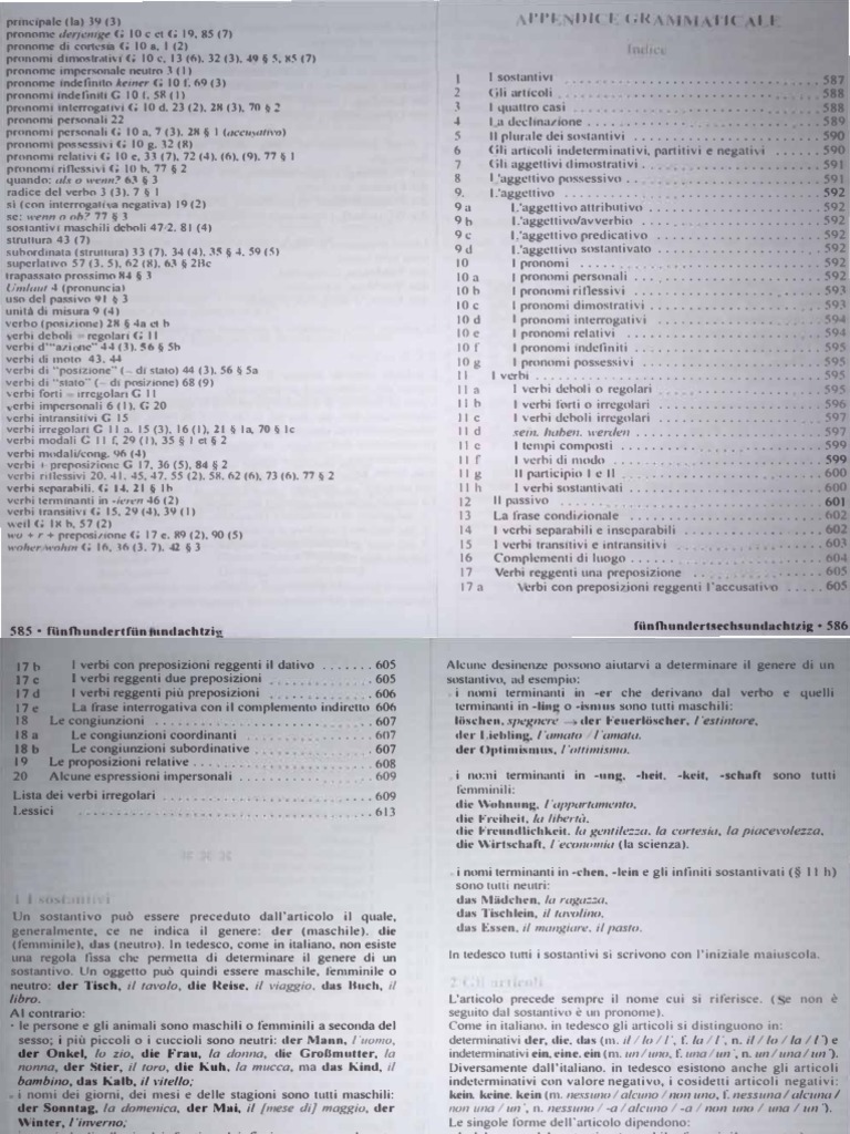 Append Ice PDF Grammatical Gender Noun