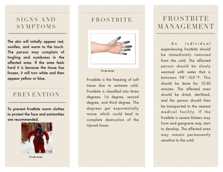 Frostbite | PDF | Human Diseases And Disorders | Symptoms And Signs