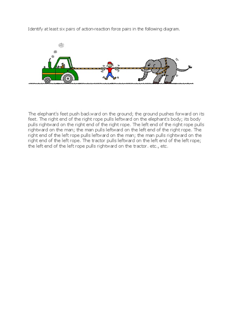 Action-Reaction Force Pairs Explained | PDF