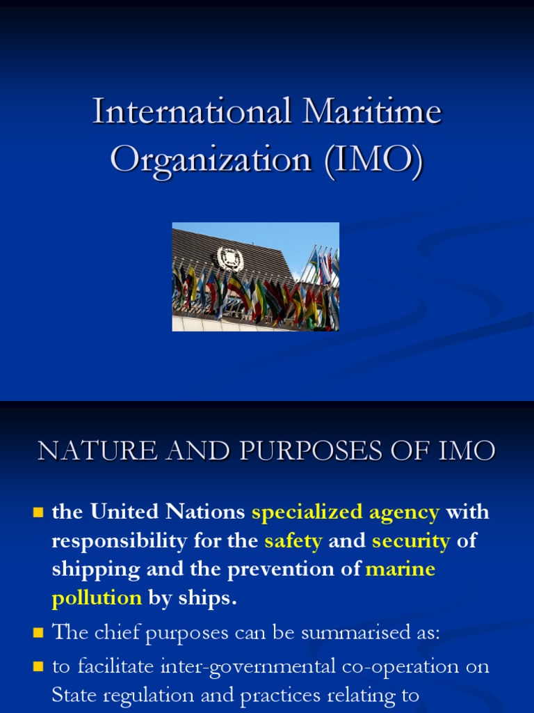 Overview of the International Maritime Organization | PDF | Government ...