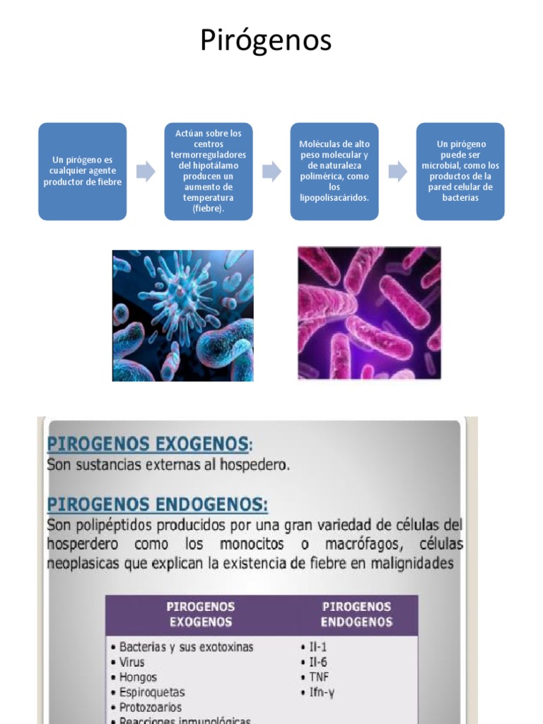 Pirógenos | PDF