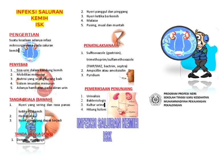 Infeksi Saluran Kemih ISK: Pengertian Penatalaksanaan | PDF