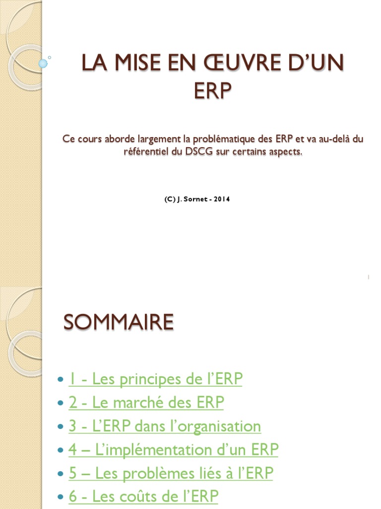 La Mise en Œuvre D'un Erp | PDF | Progiciel de gestion intégré ...