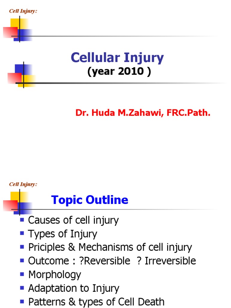 Pathology, Lecture 2, Cell Injury (slides)