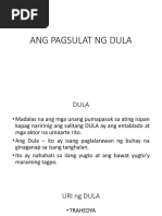 DULA Powerpoint | PDF